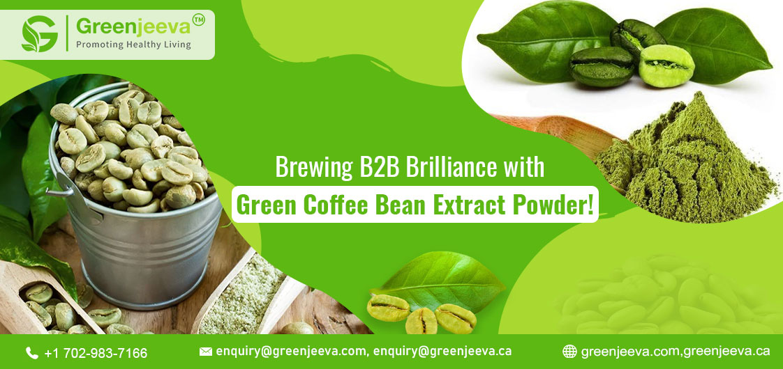The B2B Buzz on Green Coffee Bean Extract Powder