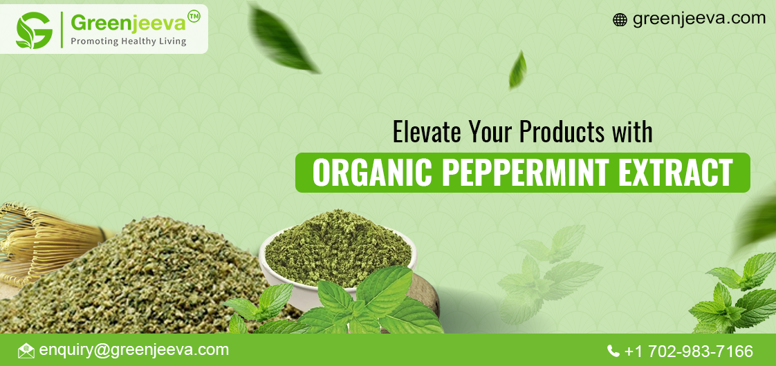Organic Peppermint Extract: A Versatile Ingredient for Your Product Line