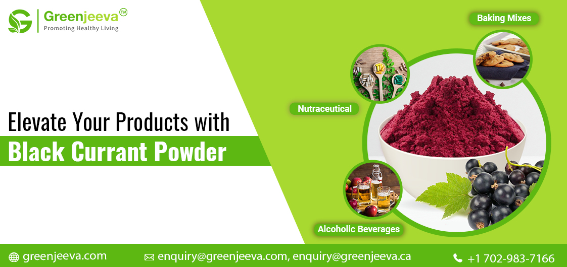 Exploring the Versatile Applications of Black Currant Powder