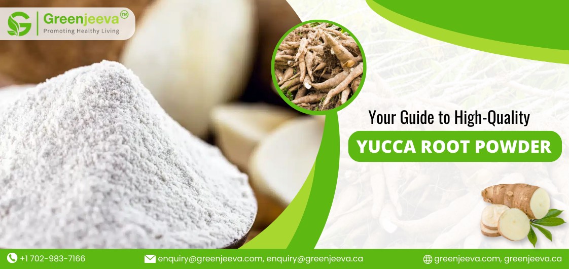 Sourcing High-Quality Yucca Root Powder for Your Manufacturing
