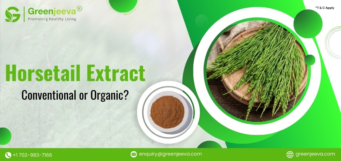 Conventional vs. Organic Horsetail Extract Powder: Making the Right Choice