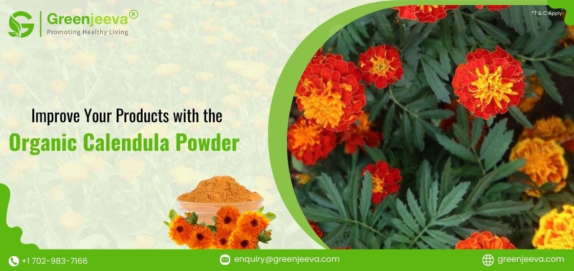 Organic Calendula Powder vs. Conventional: Key Differences and Benefits