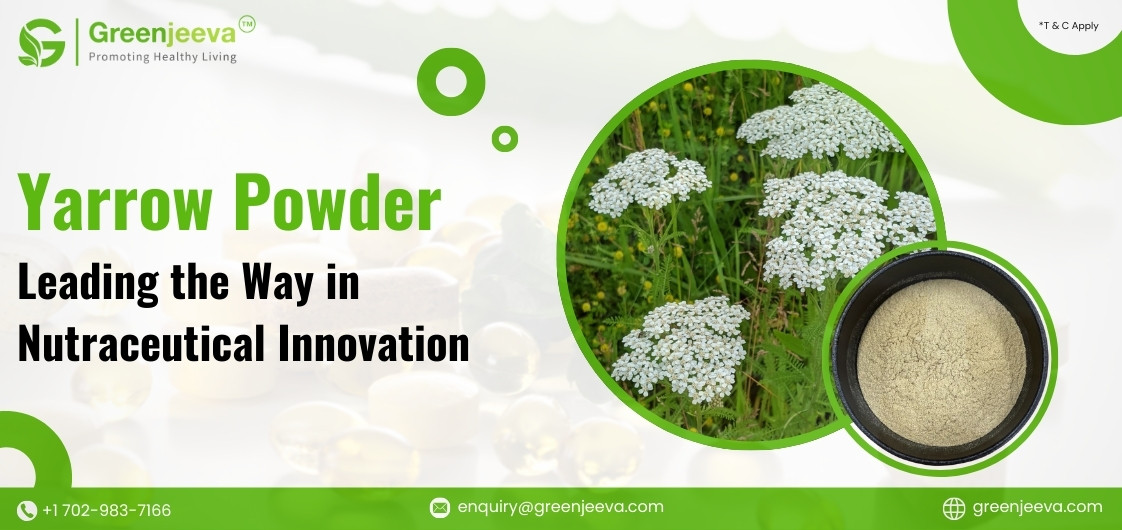 Innovative Applications of Yarrow Powder in the Nutraceutical Industry