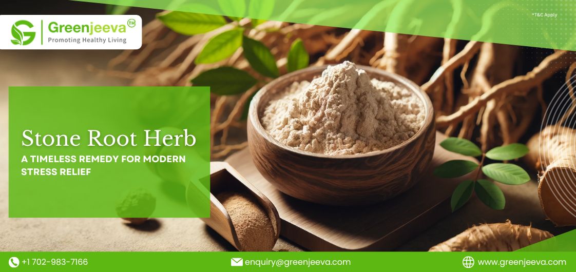 Stone Root Herb: The Future of Adaptogenic and Stress Relief Supplements
