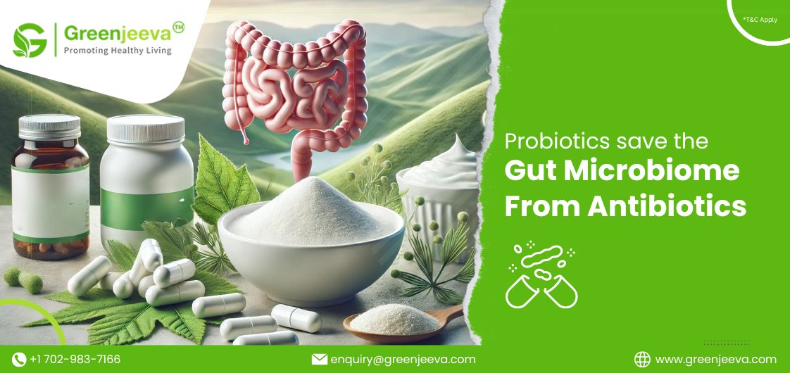 Probiotics Save the Gut Microbiome From Antibiotics