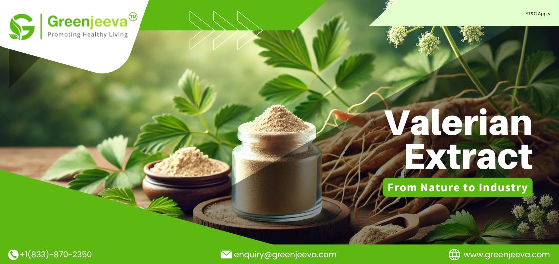 Valerian Extract vs. Other Natural Ingredients: Commercial Applications ...