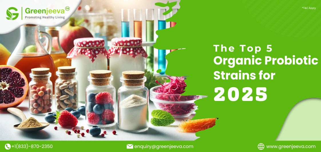 Top 5 Organic Probiotic Strains for Health Supplements in 2025