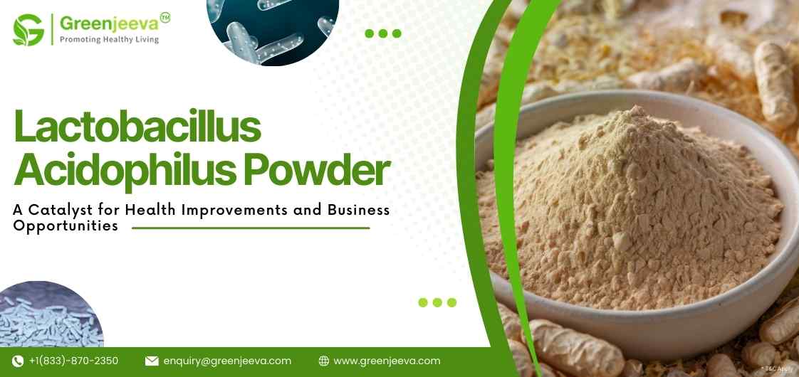 The Symbiotic Relationship Between Lactobacillus Acidophilus Powder ...