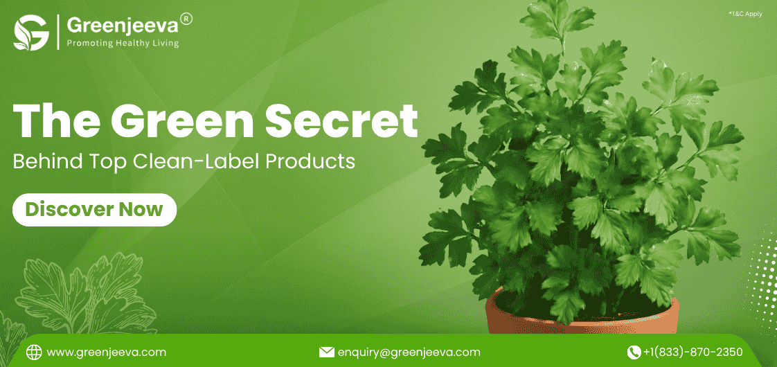 Organic Parsley Powder in Nutraceutical Applications: A Green Boost for ...