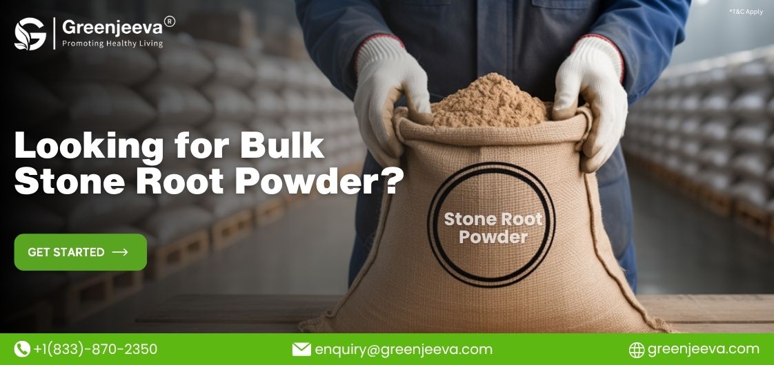 Where to Buy Bulk Stone Root Powder (USDA Organic)
