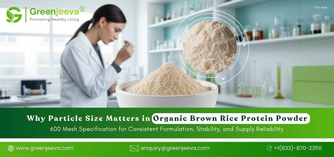 Why Is 600 Mesh Particle Size Important in Organic Brown Rice Protein ...