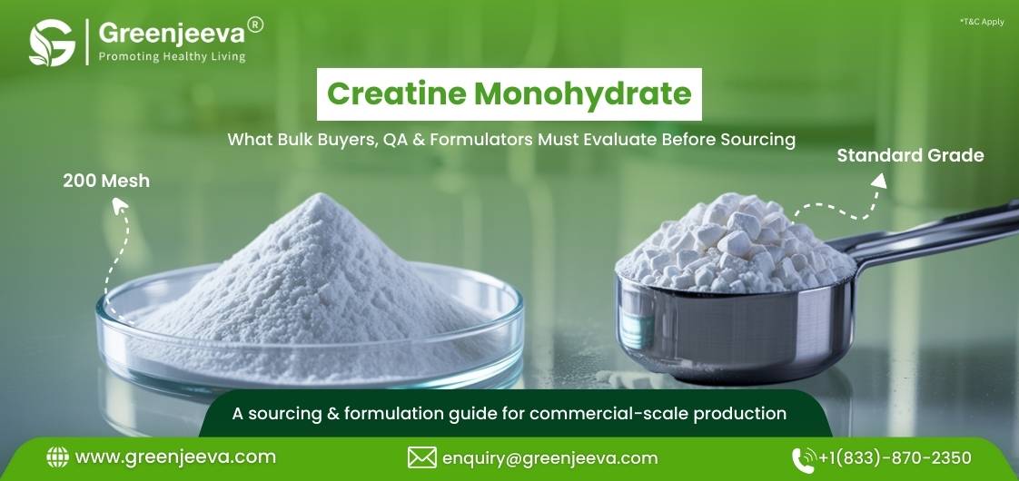 Bulk Creatine Monohydrate Powder: What Buyers Must Know Before Sourcing