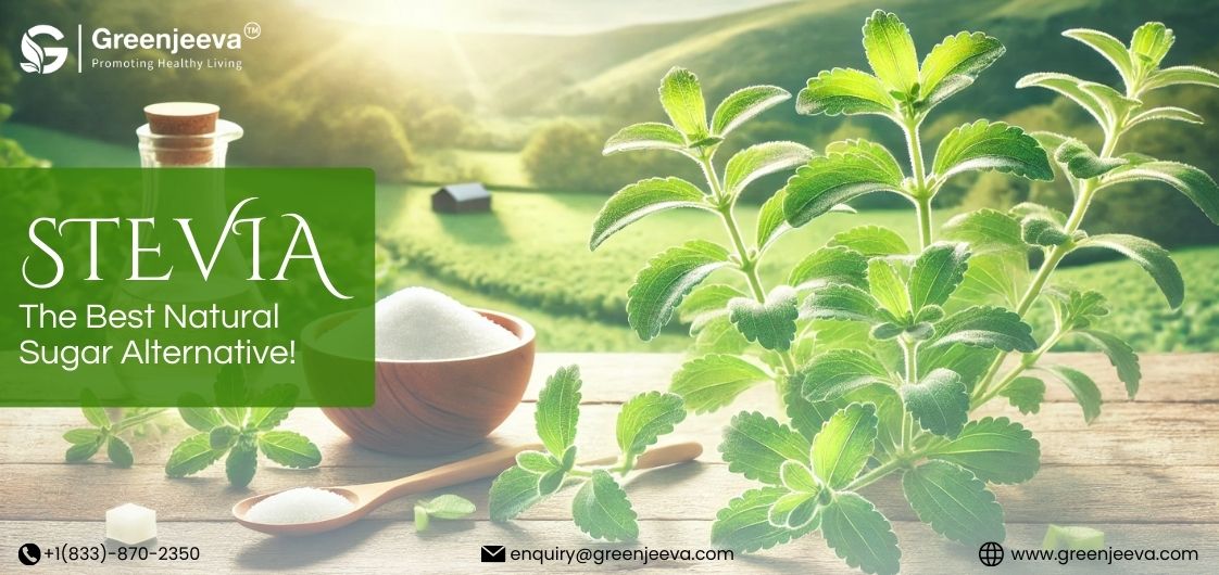 Stevia- A Guide to the Best Sugar Alternative