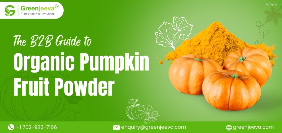 Organic Pumpkin Fruit Powder: A B2B Guide