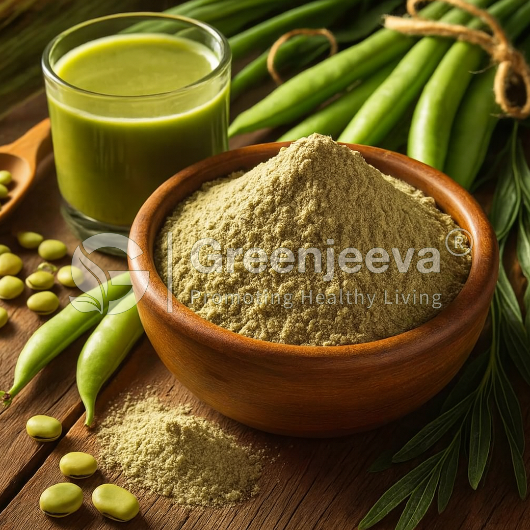 USDA Certified Fava Bean Protein Powder 90% Supplier in USA