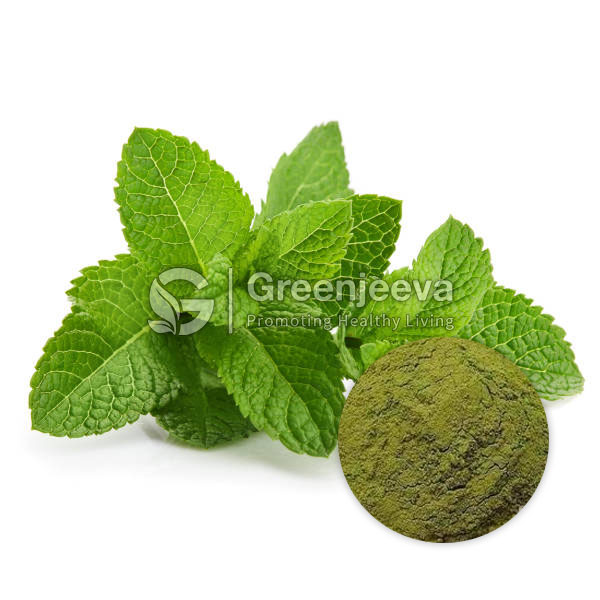 Top Peppermint Powder Supplier | Bulk Peppermint Powder Supplier